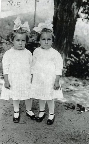 Celebrating the Christmas Season with Susan Drew | Pat Brown Books